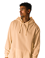 adult pfd pullover hoodie